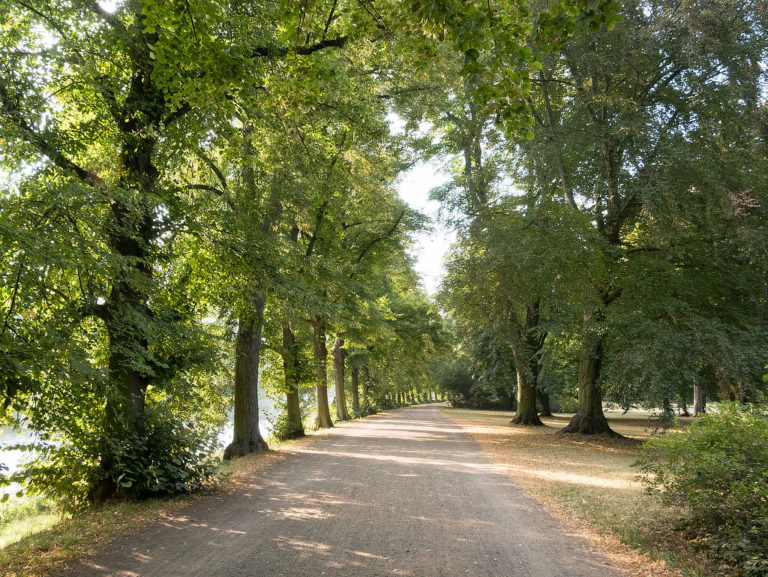 10 schöne Parks in Leipzig, die zum Verweilen einladen