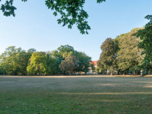 10 schöne Parks in Leipzig, die zum Verweilen einladen