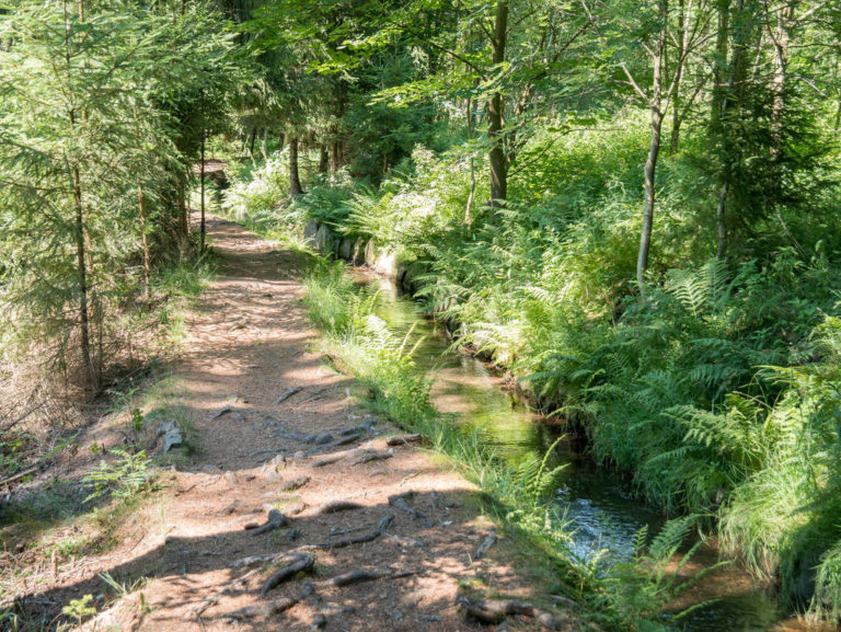 Geyer: Die Top Sehenswürdigkeiten der Bingestadt